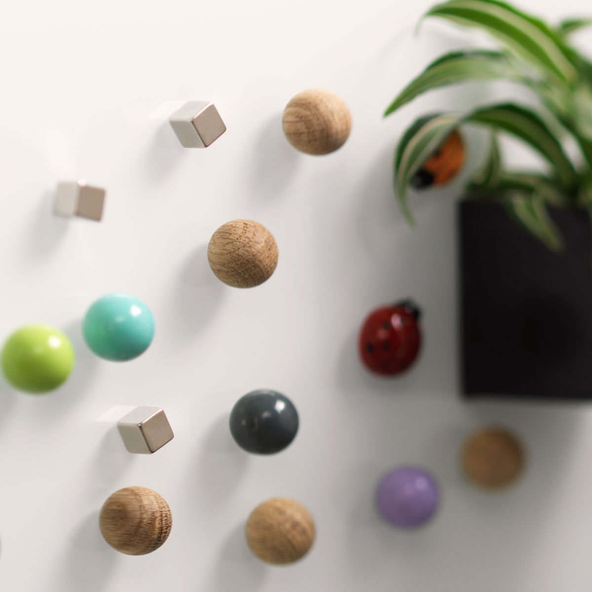 Magneter | Neodymium magneter | Magneter til glastavler